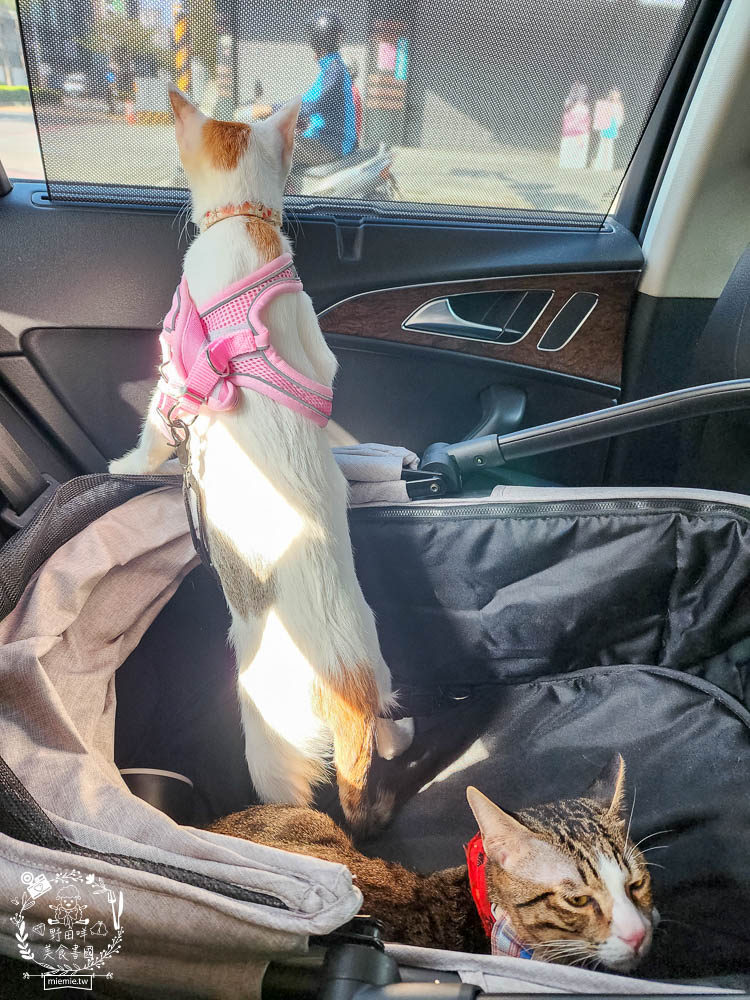 NiPet樂特派T100分離式寵物推車|分離式提籃設計可承重30公斤!單手收車快拆分離!附2側安全扣環寵物不掙脫