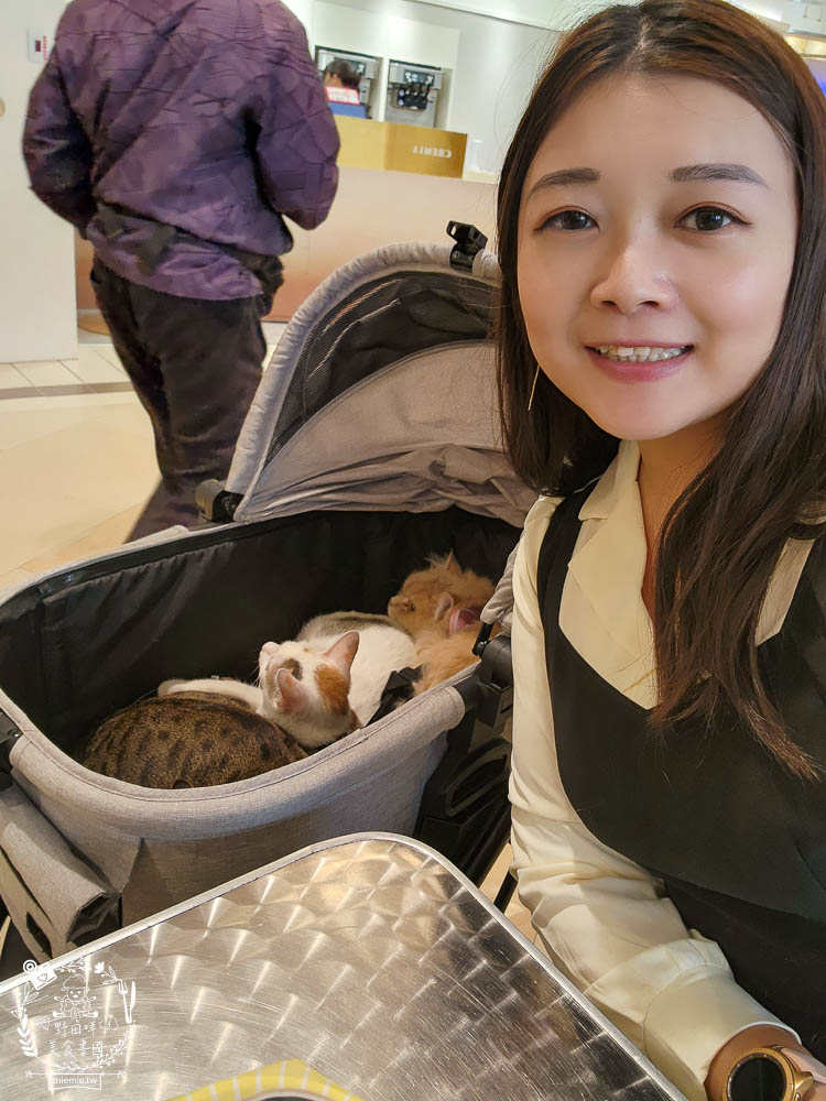 NiPet樂特派T100分離式寵物推車|分離式提籃設計可承重30公斤!單手收車快拆分離!附2側安全扣環寵物不掙脫